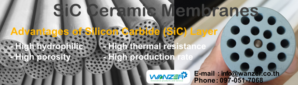 SiC Ceramic Membranes - Wanzer Company
