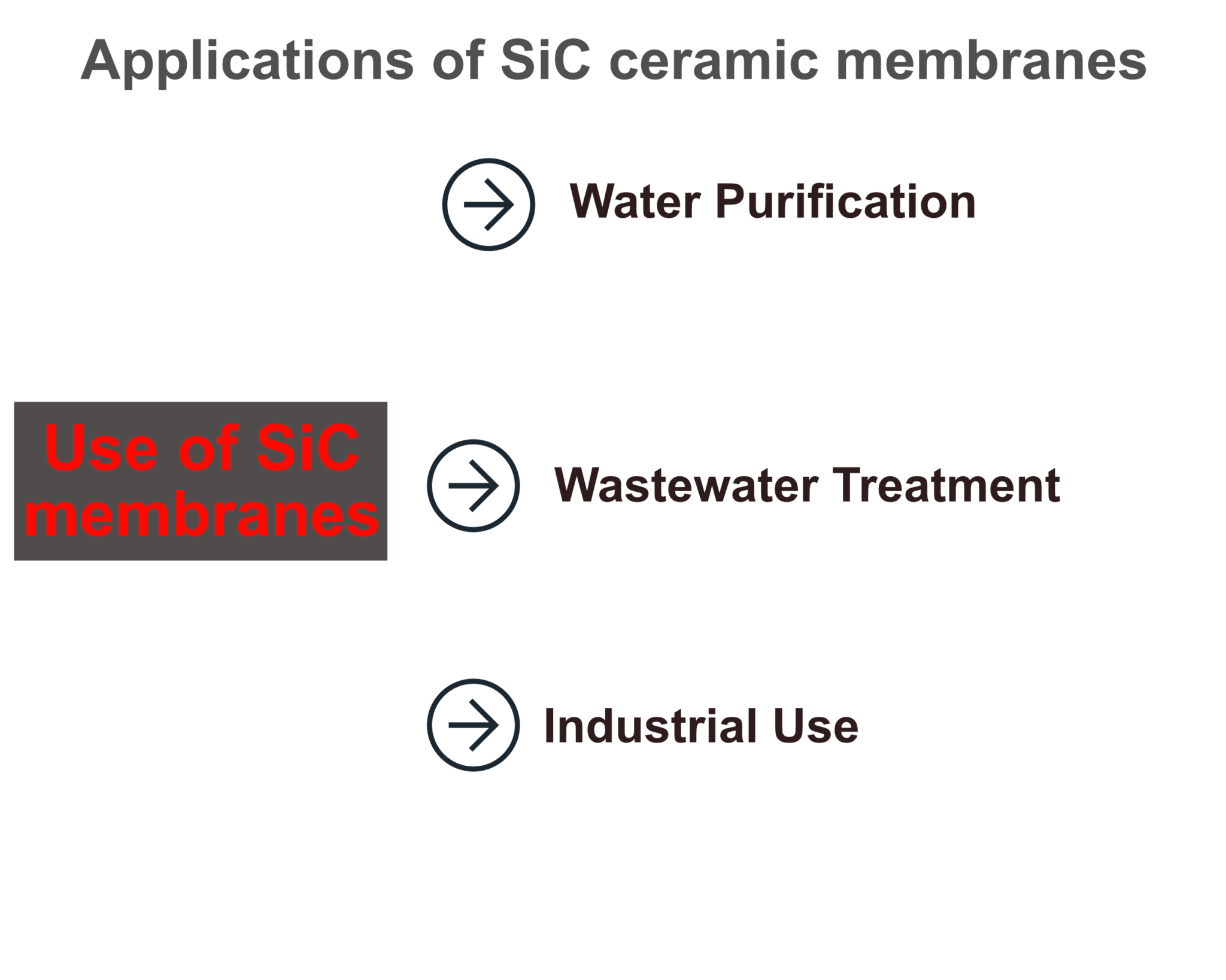 SiC Ceramic Membranes - Wanzer Company